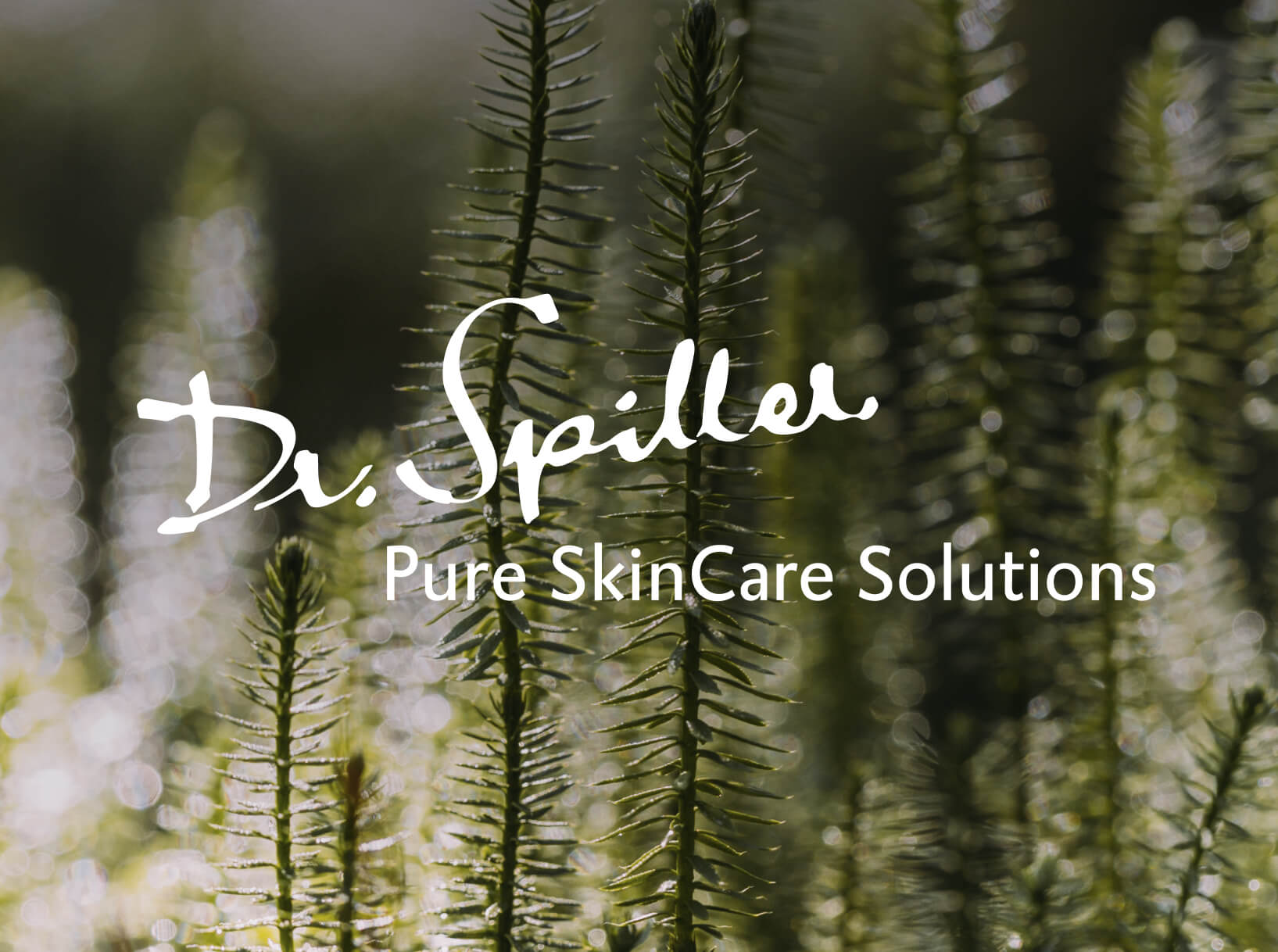 ᐉ Dr. Spiller kosmetika koupit za výhodnou cenu v České republice